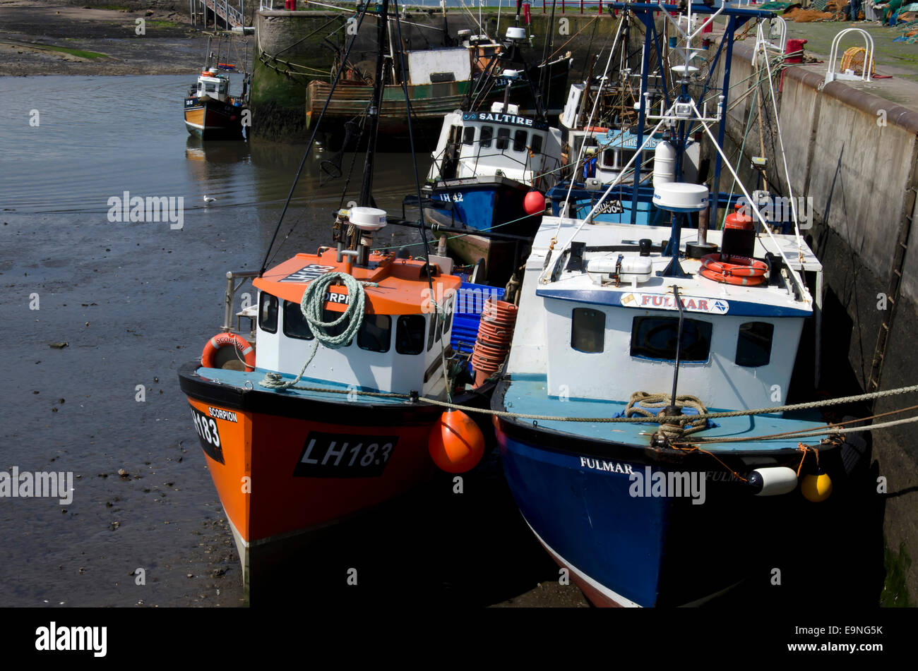 Port seton fish hi-res stock photography and images - Alamy