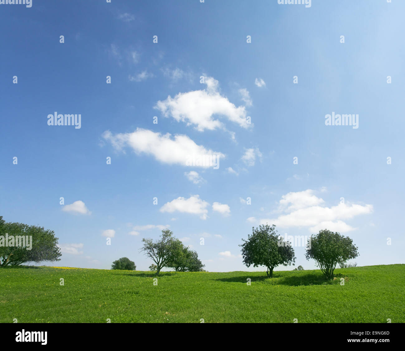 Warm spring hi-res stock photography and images - Alamy