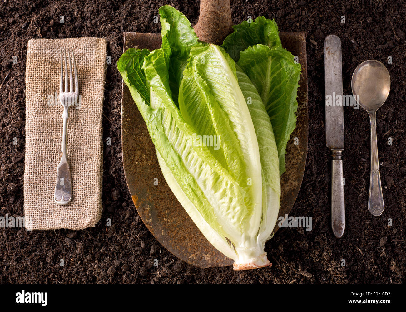 Organic farm to table healthy eating concept on soil background Stock ...