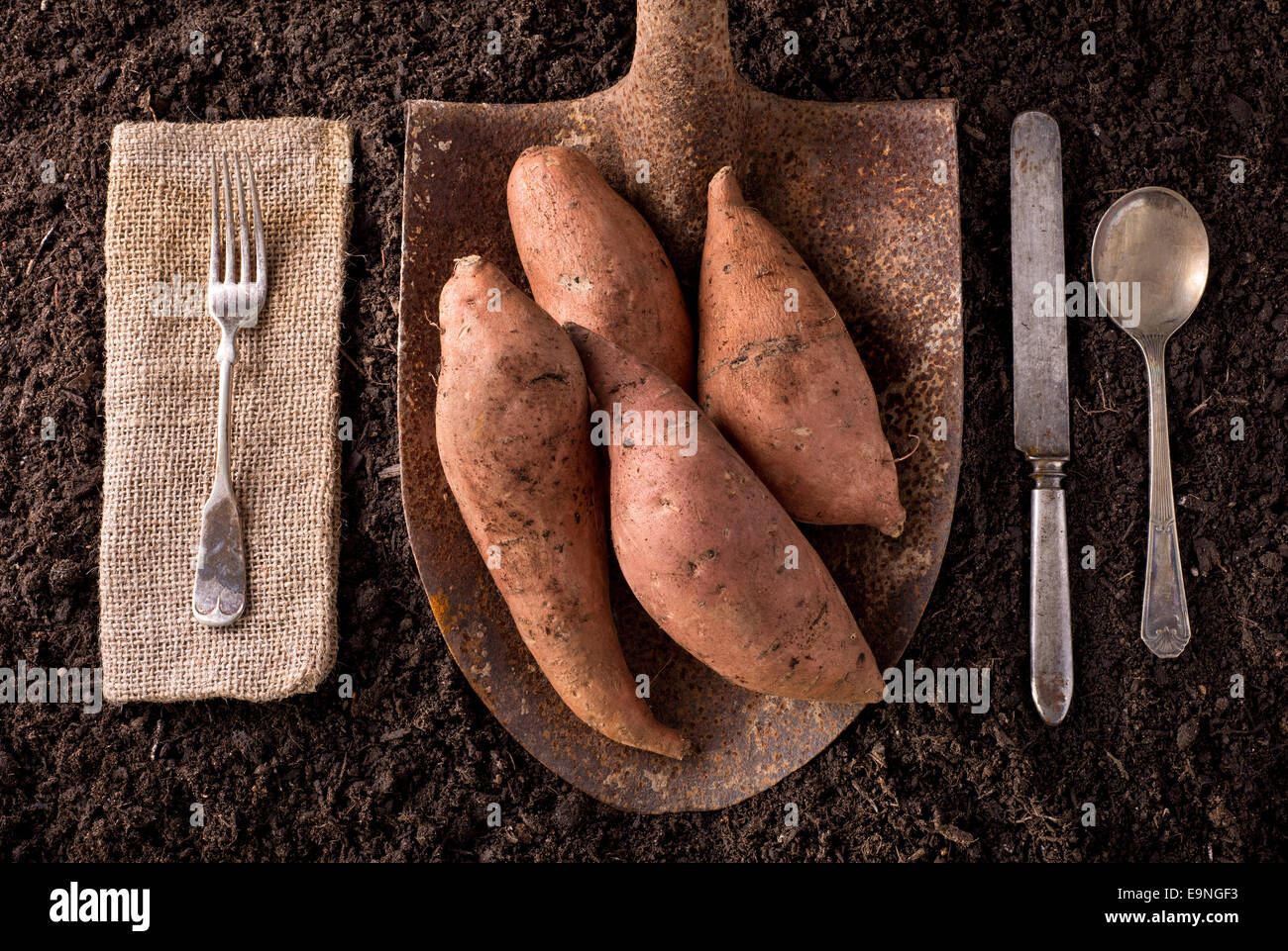Organic farm to table healthy eating concept on soil background Stock ...