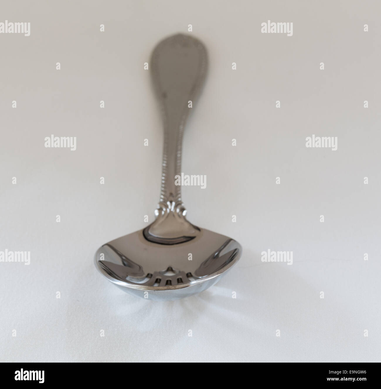 Seafood Serving Spoon