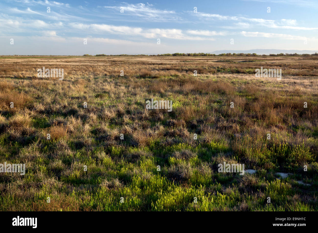 CA02348-00...CALIFORNIA - Prairie in the Great Valley Grasslands State ...