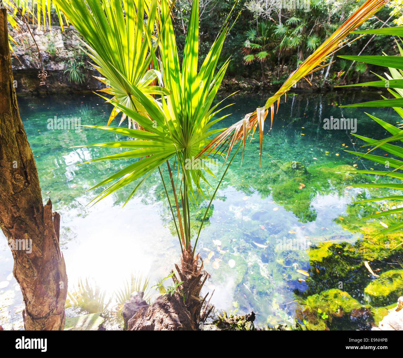 Misterious lagoon hi-res stock photography and images - Alamy