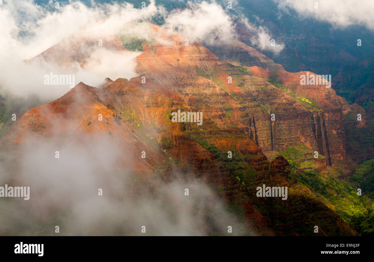 Ravine Hawaii High Resolution Stock Photography and Images - Alamy