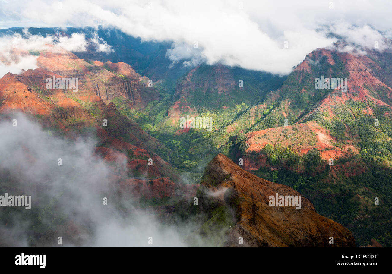 Ravine Hawaii High Resolution Stock Photography and Images - Alamy
