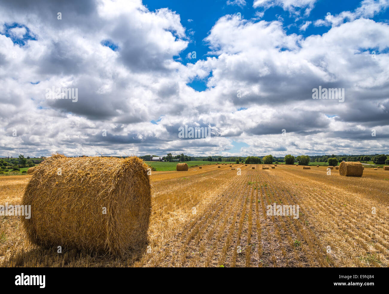 Farm ontario field hi-res stock photography and images - Alamy