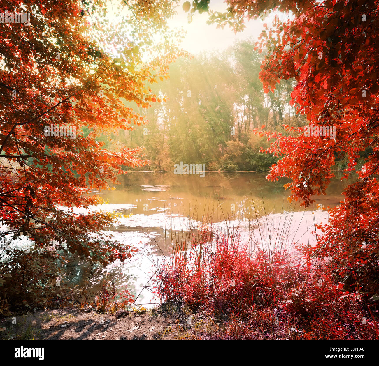 Calm river hi-res stock photography and images - Alamy