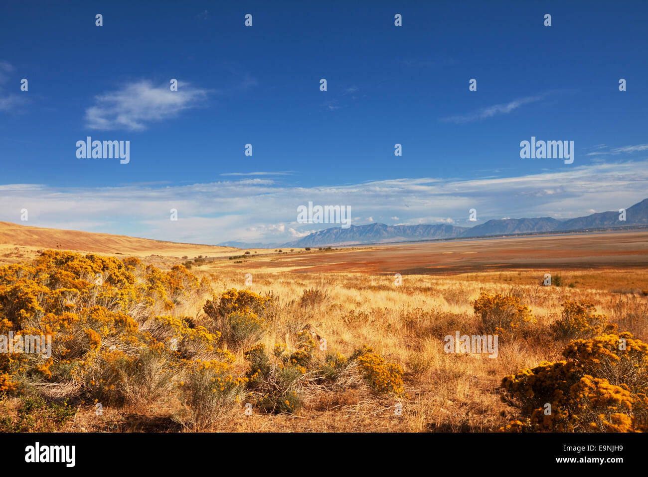 Salt prairie hi-res stock photography and images - Alamy