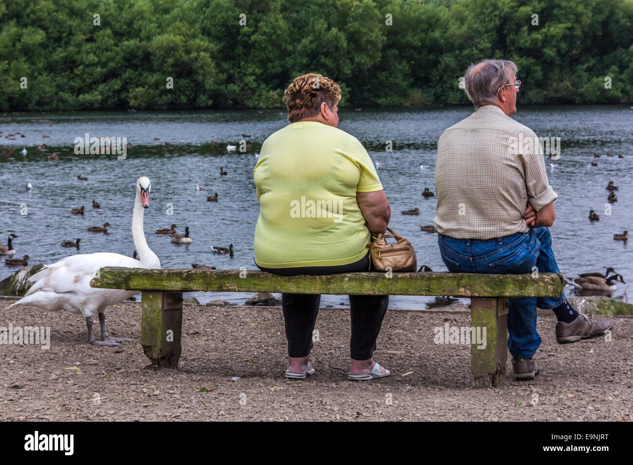Two people resting on a bench with their backs to the camera feeding ...