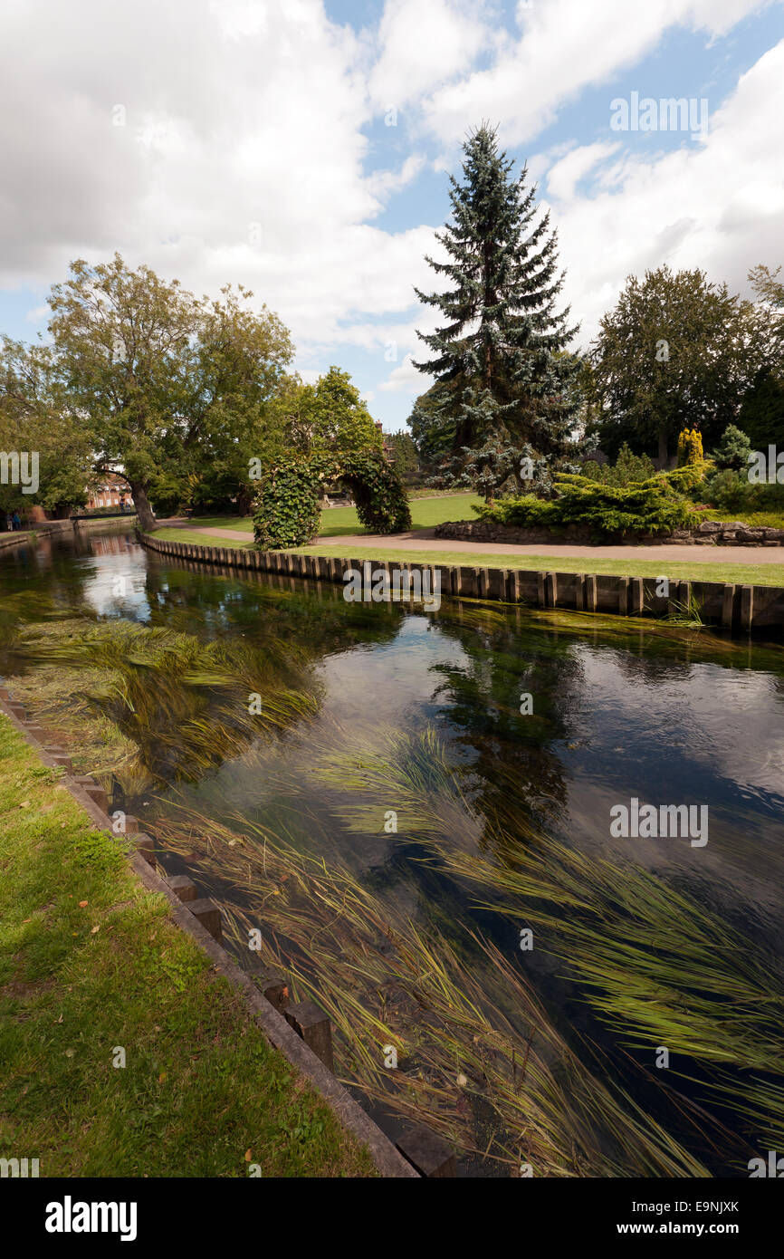 View of the Great Stour River in Westgate Gardens, Canterbury, England ...