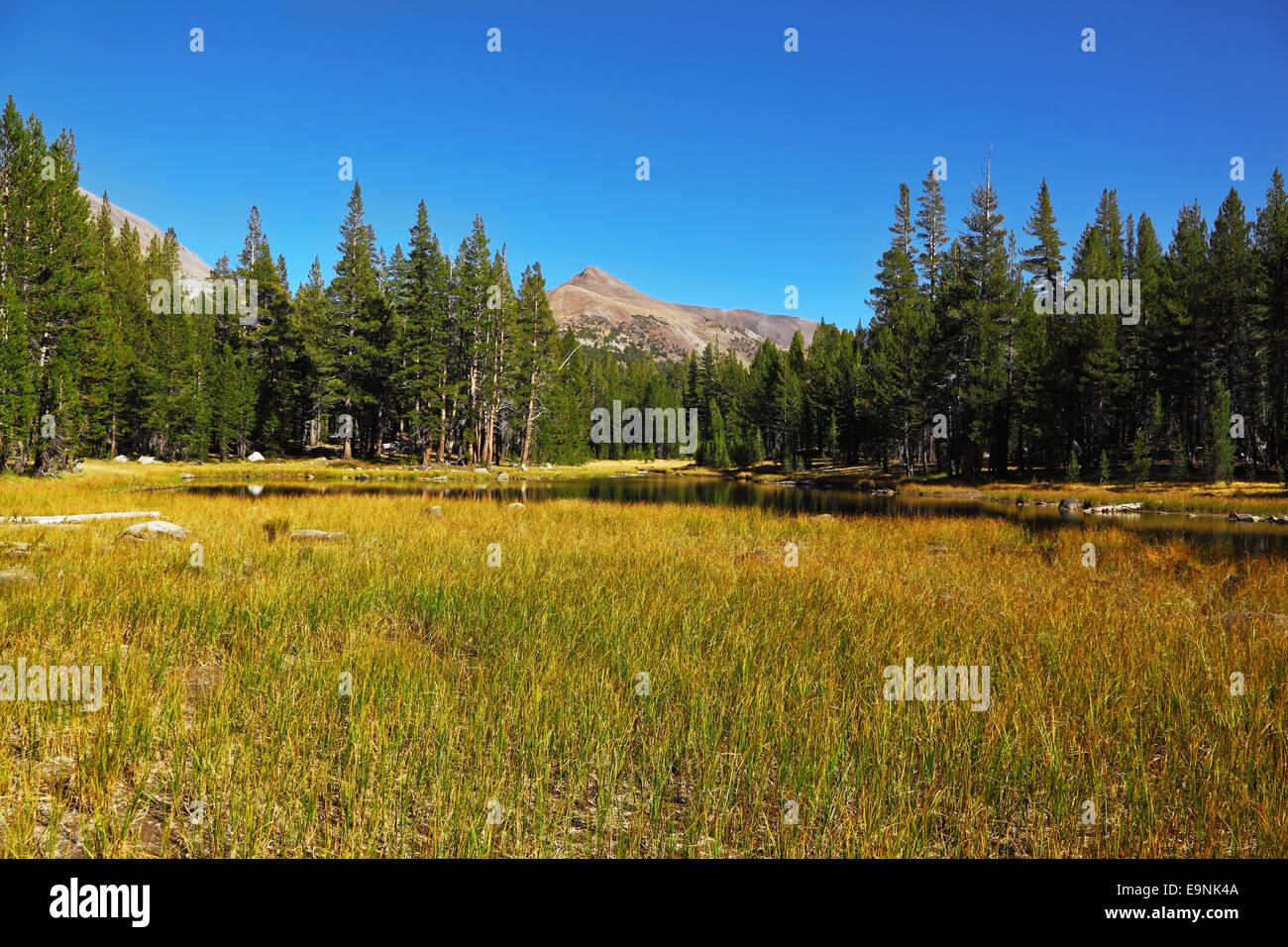 Calm landscape hi-res stock photography and images - Alamy