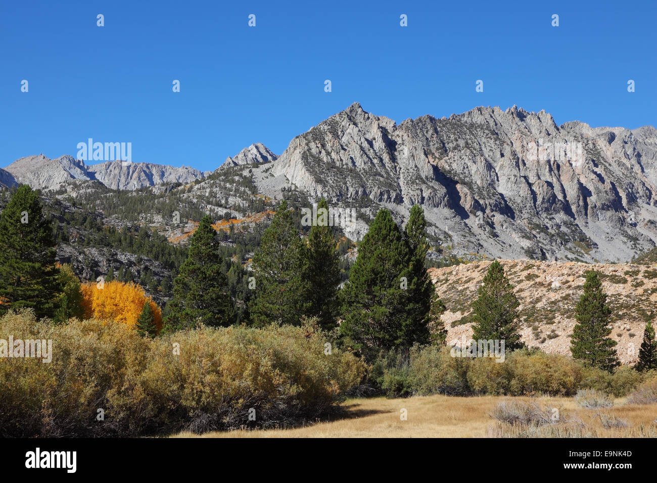 Autumnal colors of the steppe Stock Photo - Alamy