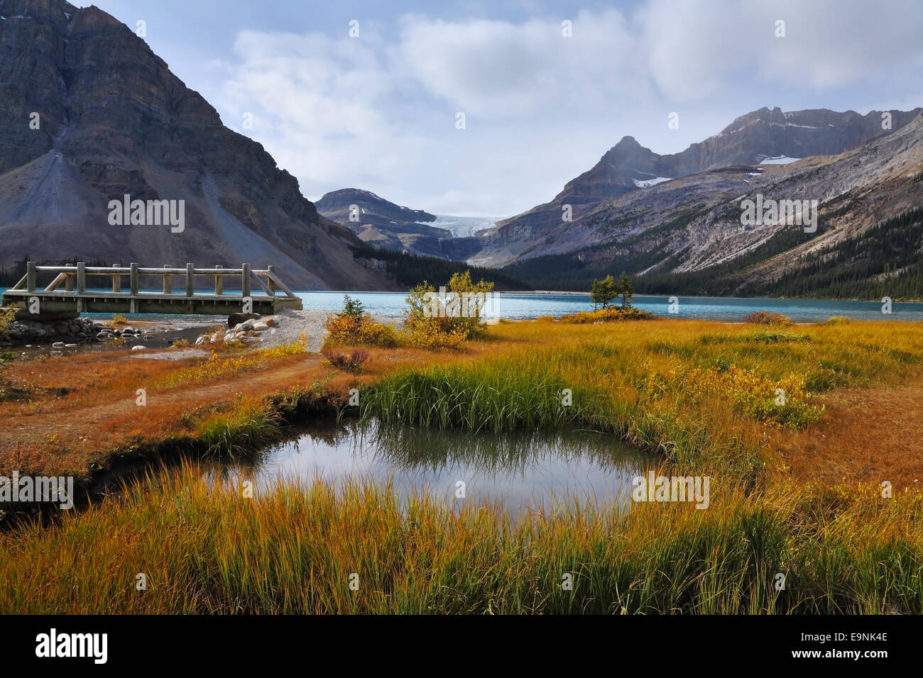 Amazingly hi-res stock photography and images - Alamy