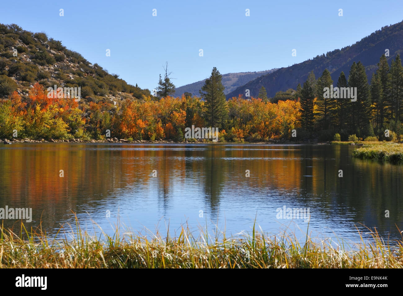 Pretty blue lake and the colorful shore Stock Photo - Alamy
