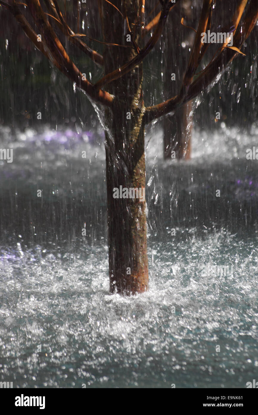 Fountain tree hi-res stock photography and images - Alamy