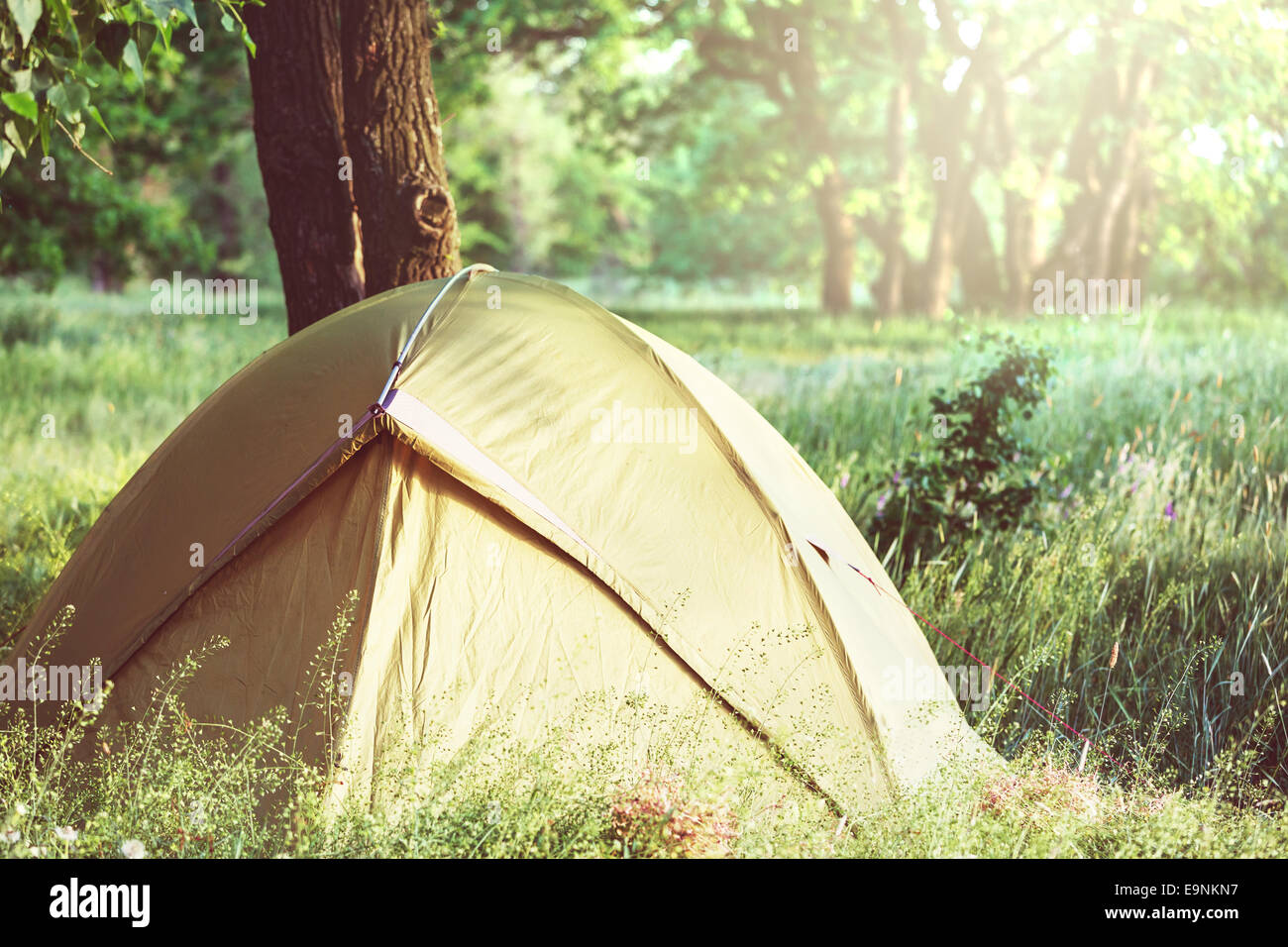 Tent on grassland Stock Photo - Alamy