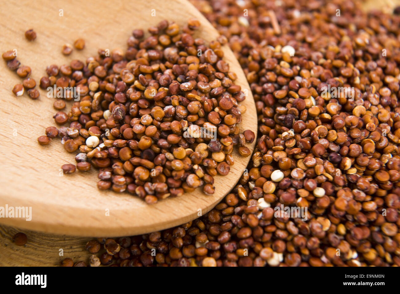 Red Quinoa grain Stock Photo - Alamy