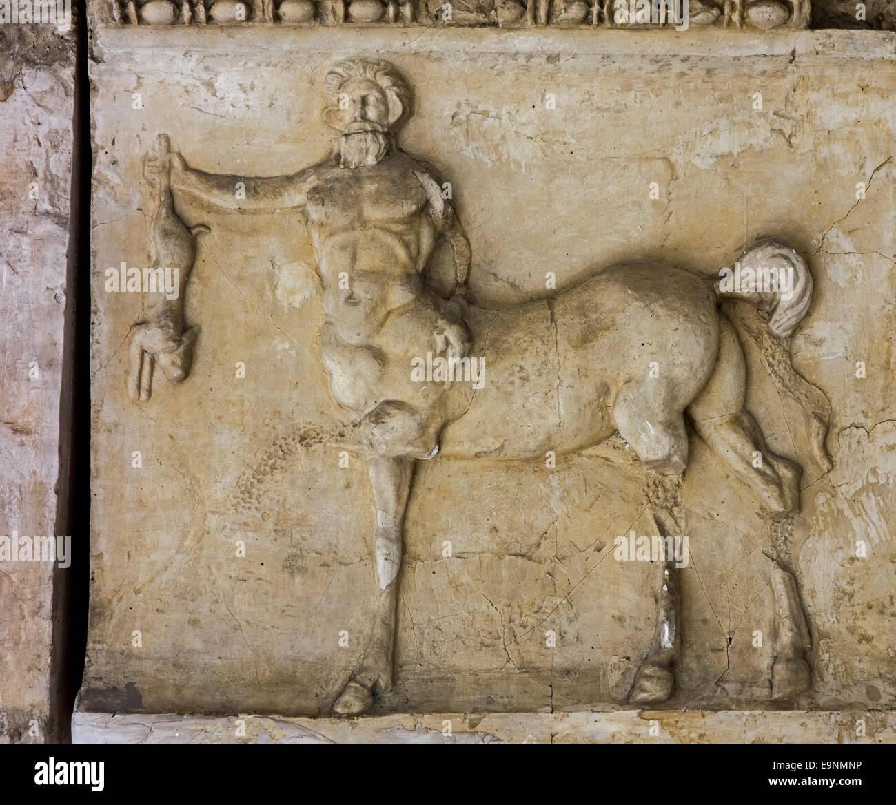 Roman frieze showing centaur, mythological creature with the head, arms ...
