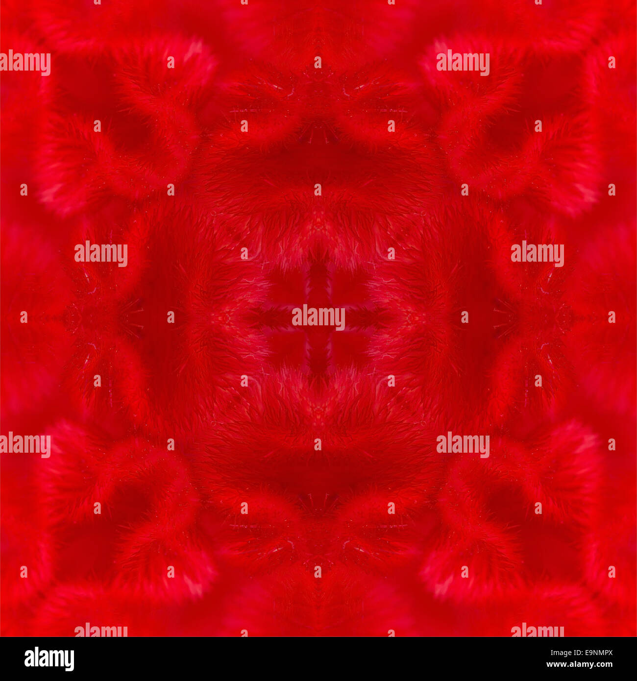 Red background abstract of Cockscomb or Chinese Wool Flower (Celosia ...