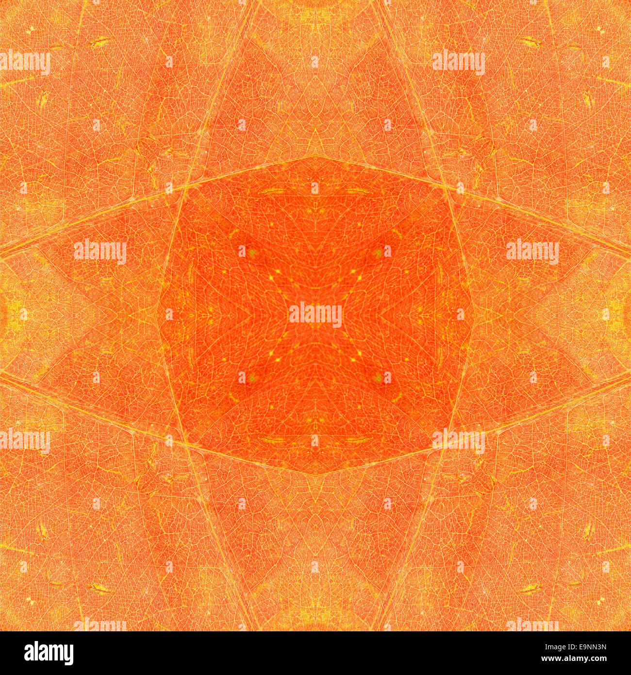 Red leaf abstract background texture Stock Photo - Alamy