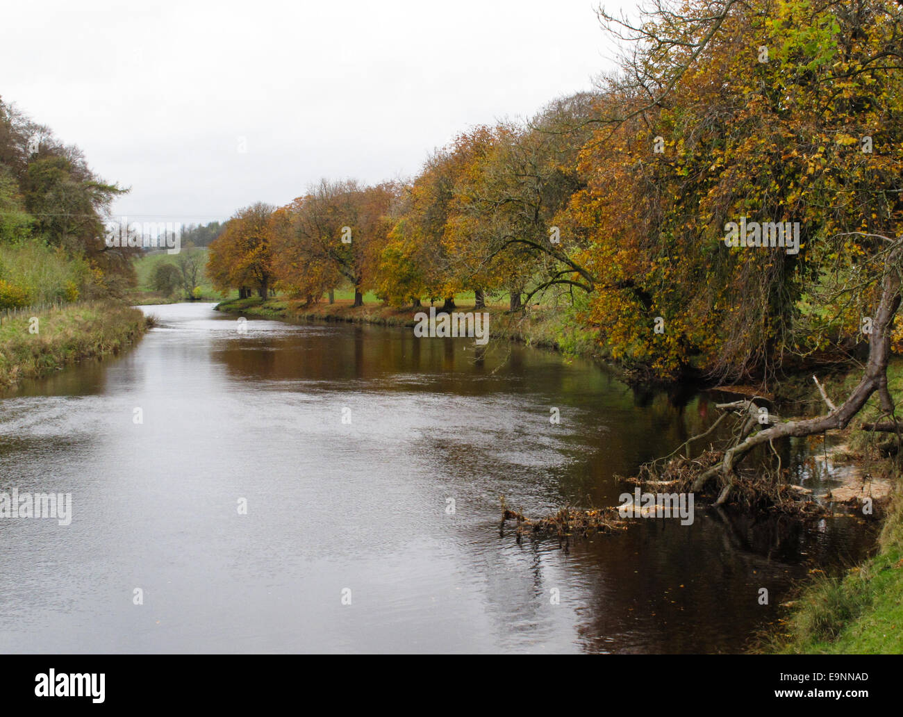 River Wharfe at Burnsall in the Yorkshire Dales National Park Stock ...
