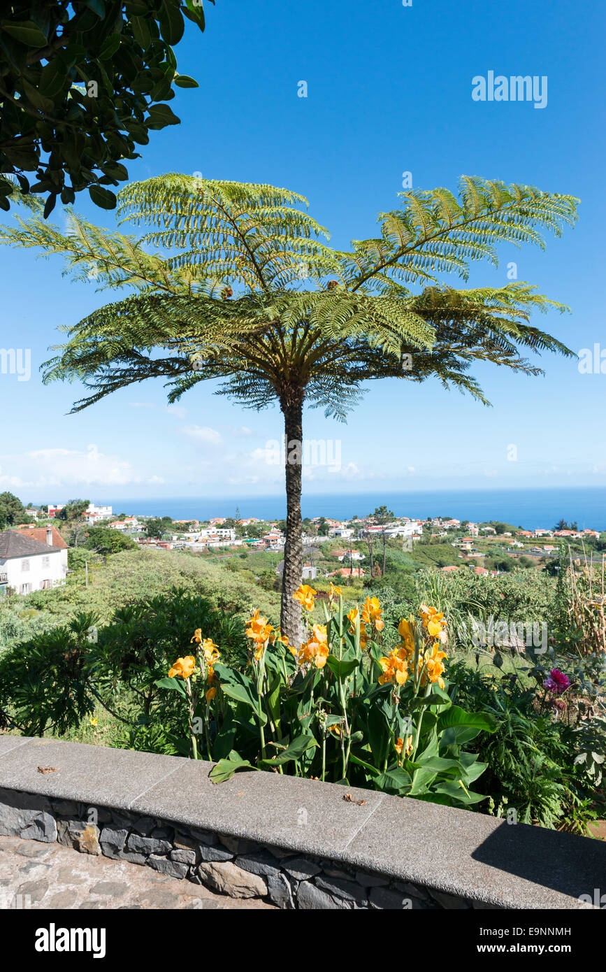 Madeira madiera hi-res stock photography and images - Alamy