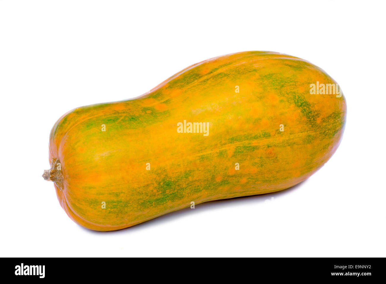Large ripe pumpkin original oblong yellow. Presented on a white ...