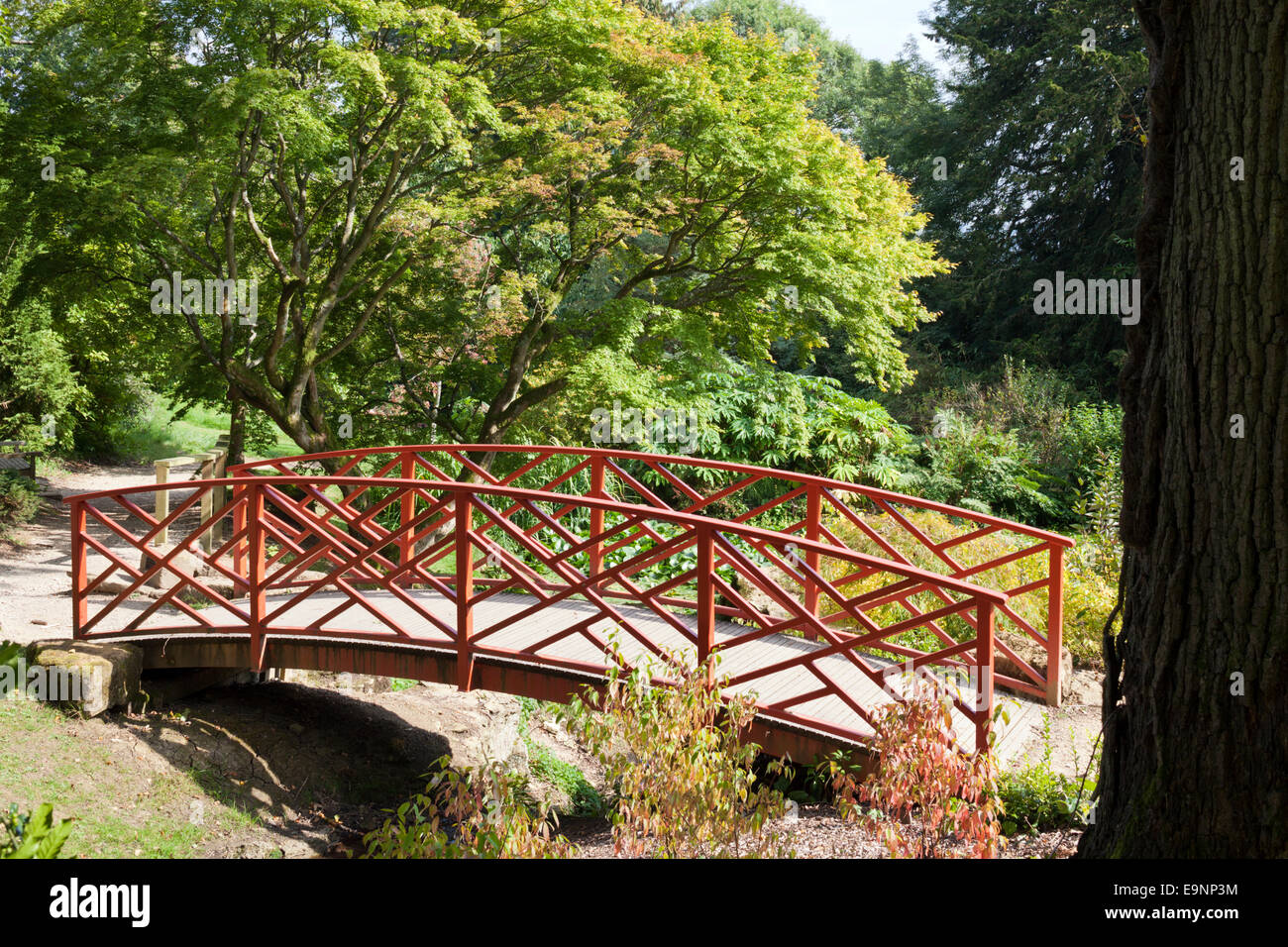 Autumn at Batsford Park Arboretum in the Cotswold village of Batsford ...