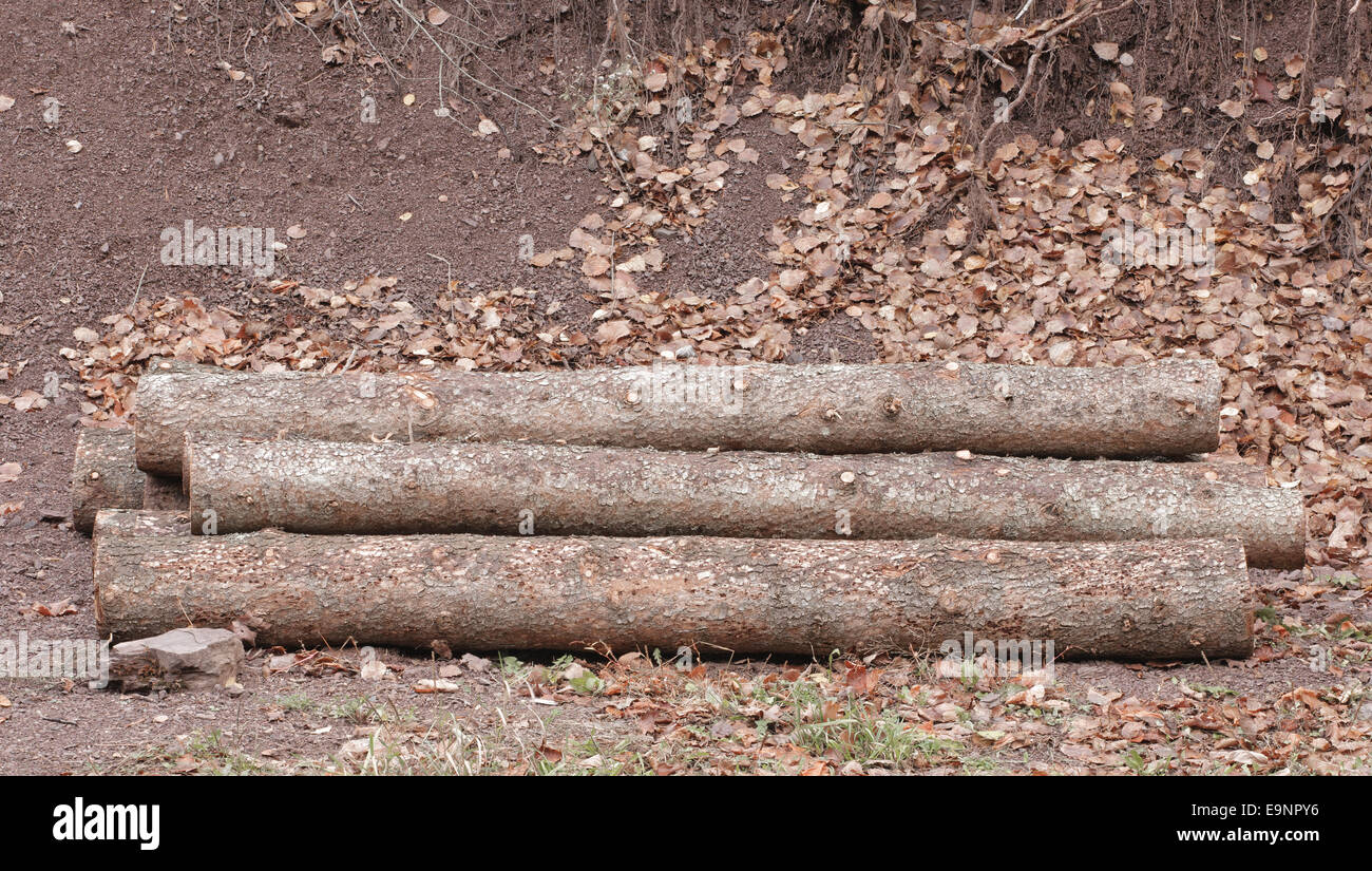 Pile of logs small hi-res stock photography and images - Alamy