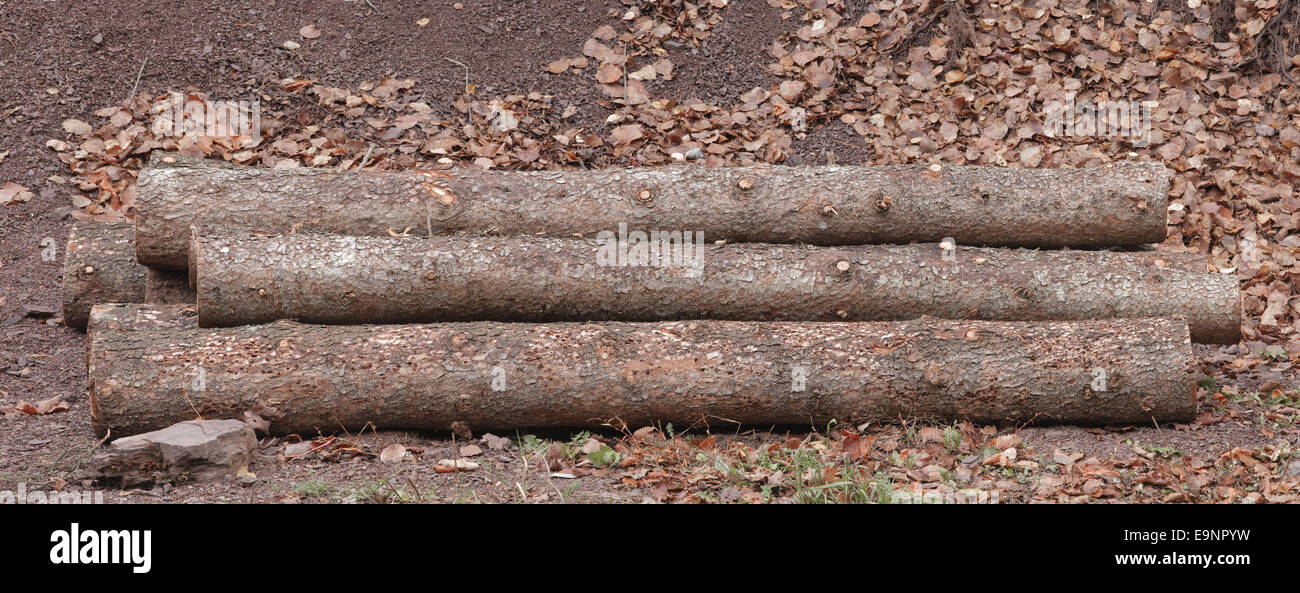 Pile of logs small hi-res stock photography and images - Alamy