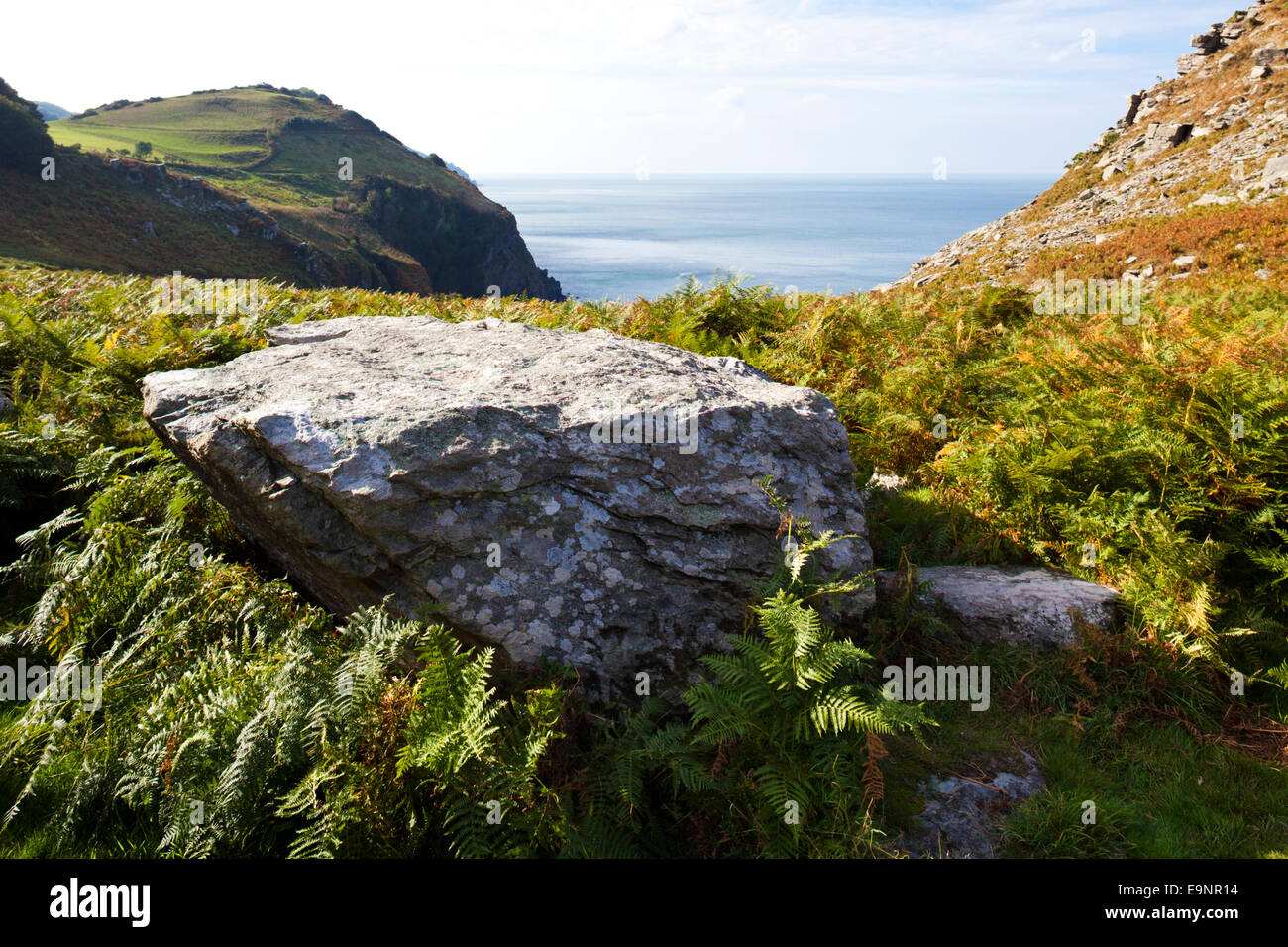 Exmoor National Park - The Valley of the Rocks, Lynton, Devon UK Stock ...