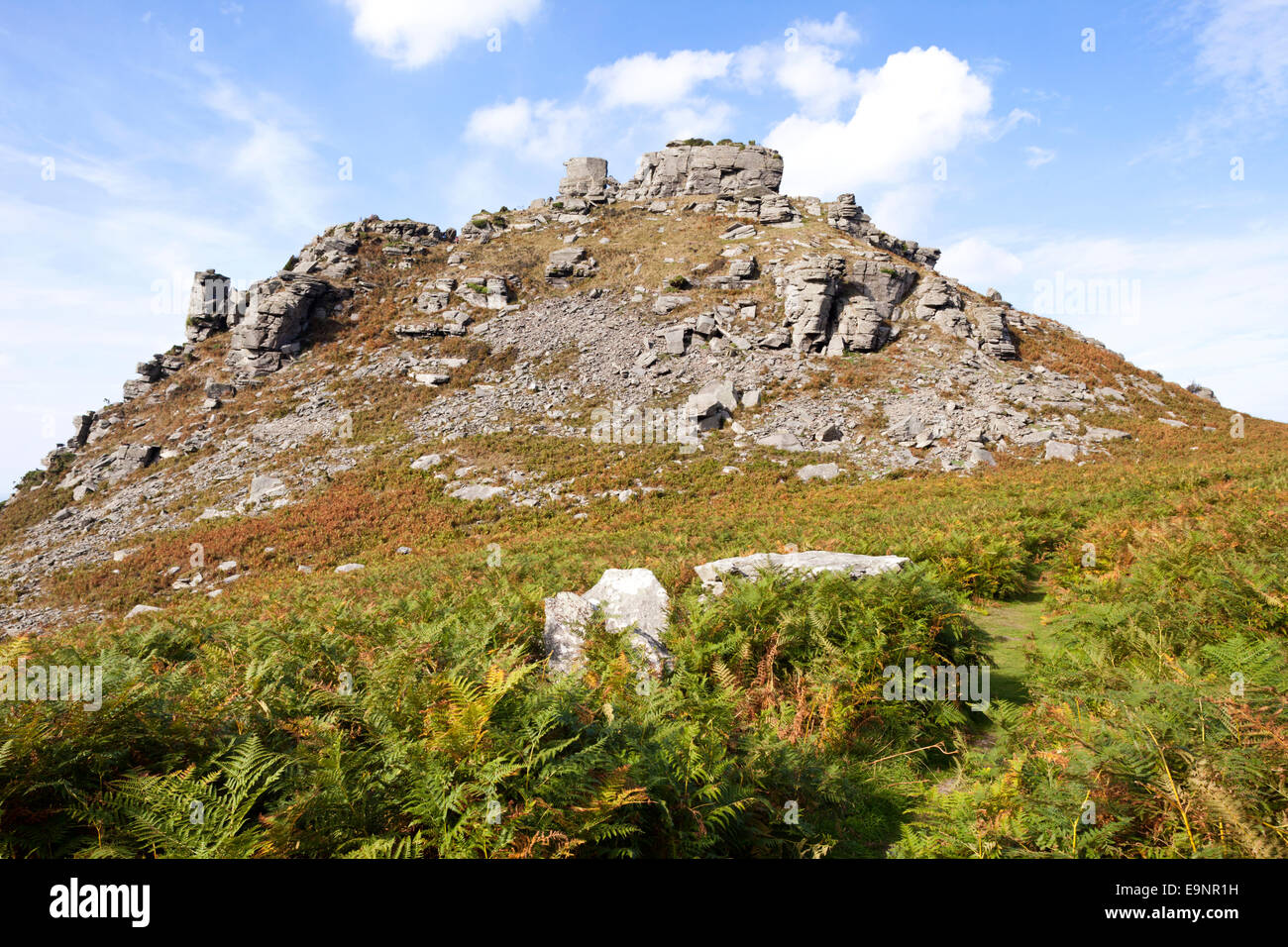 Exmoor National Park - The Valley of the Rocks, Lynton, Devon UK Stock ...