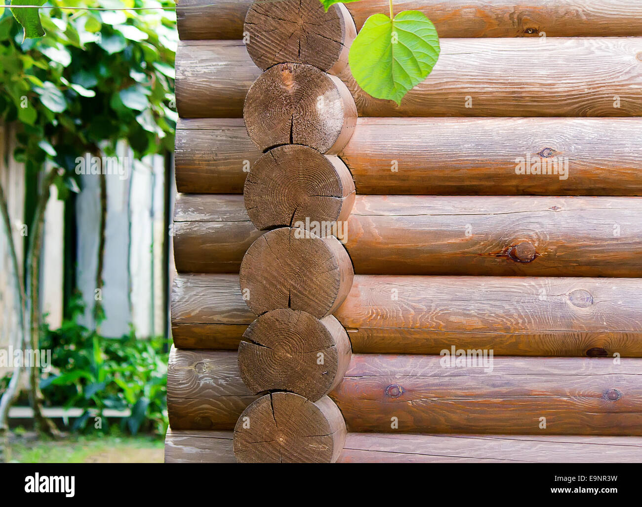 Part of wall of house from wooden round logs Stock Photo - Alamy