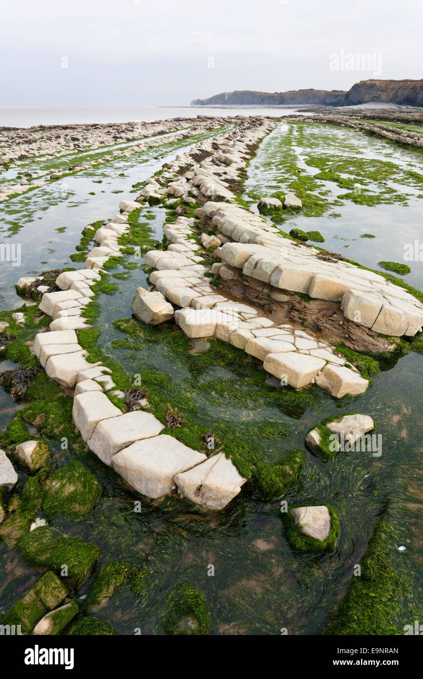 Vertical rock strata at a beach hi-res stock photography and images - Alamy