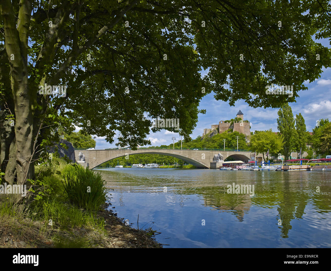 Saale river with Giebichenstein Castle in Halle, Germany Stock Photo ...