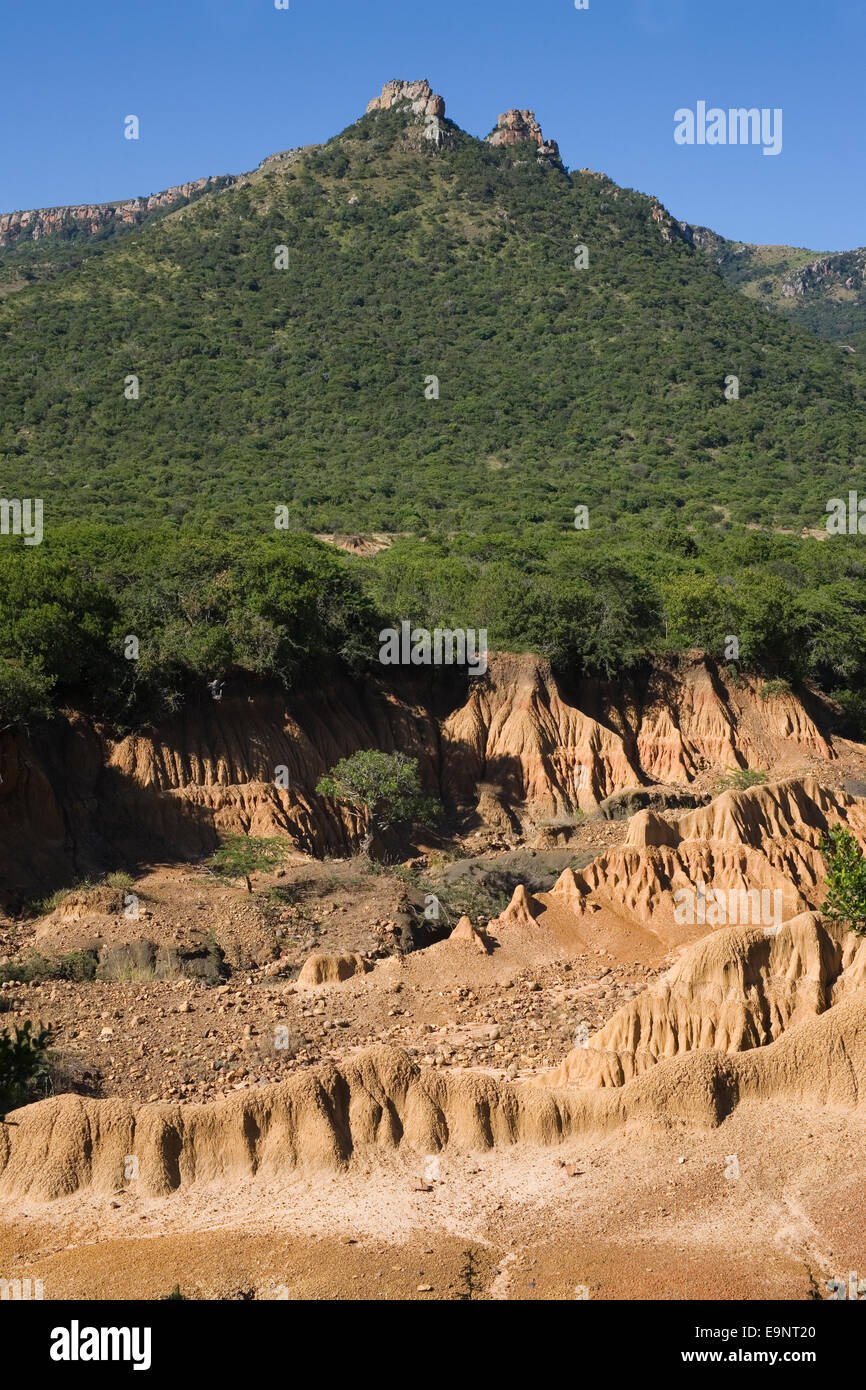 What Causes Soil Erosion In South Africa at Jorja James blog