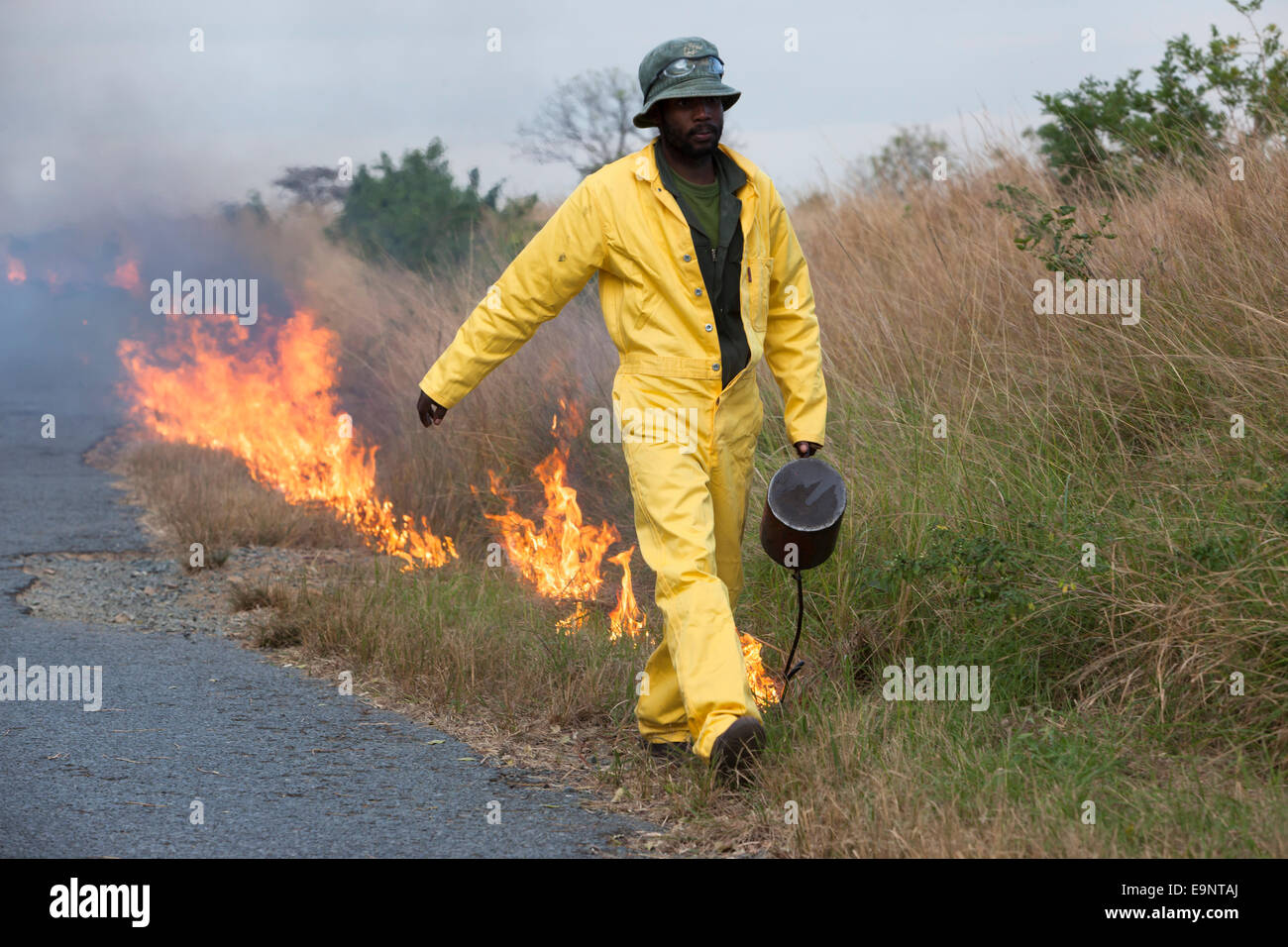 Controlled burning to create firebreak in front of wild fire, iMfolozi ...
