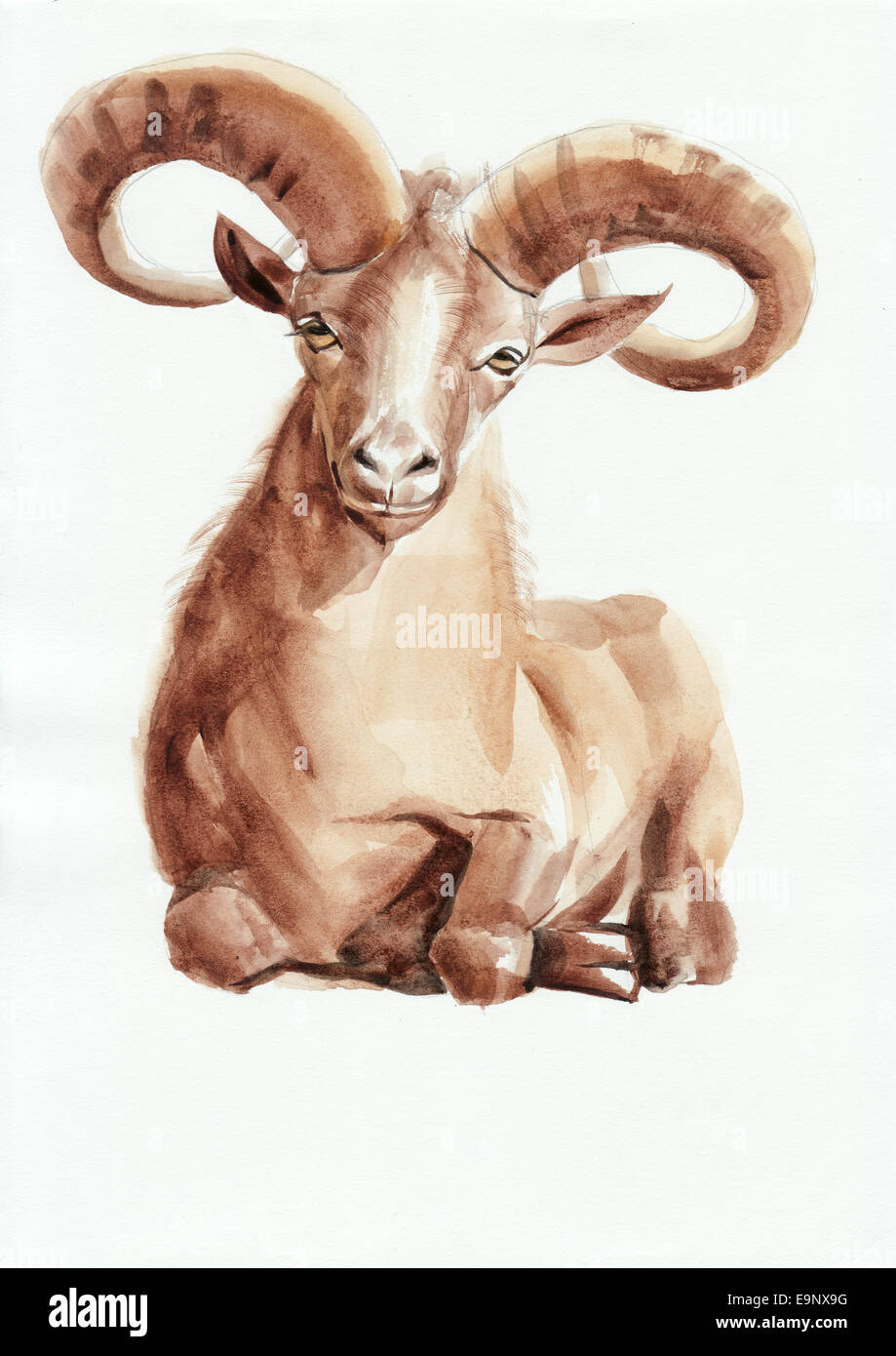 Chinese New Year Painting 2015 2015 Chinese New Year Celebration