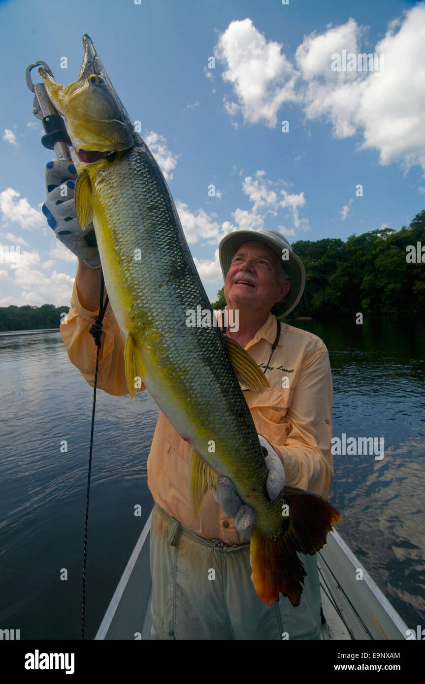 Bicuda hi-res stock photography and images - Alamy