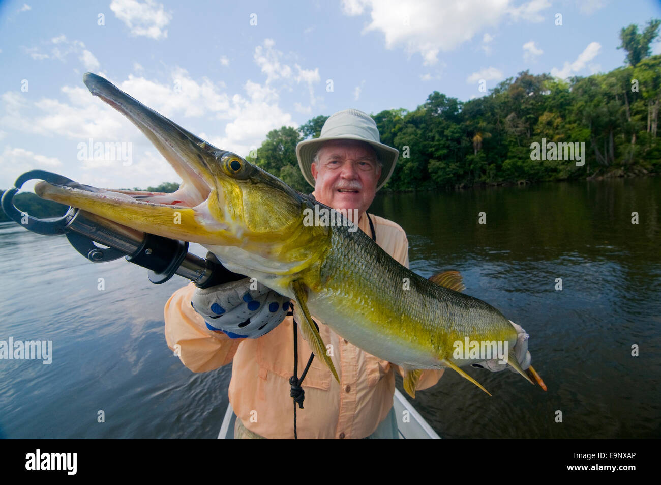 An angler with giant bicuda or cachorro caught on a minnow plug in ...
