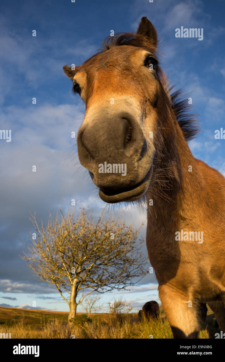 Peering into the lens hi-res stock photography and images - Alamy