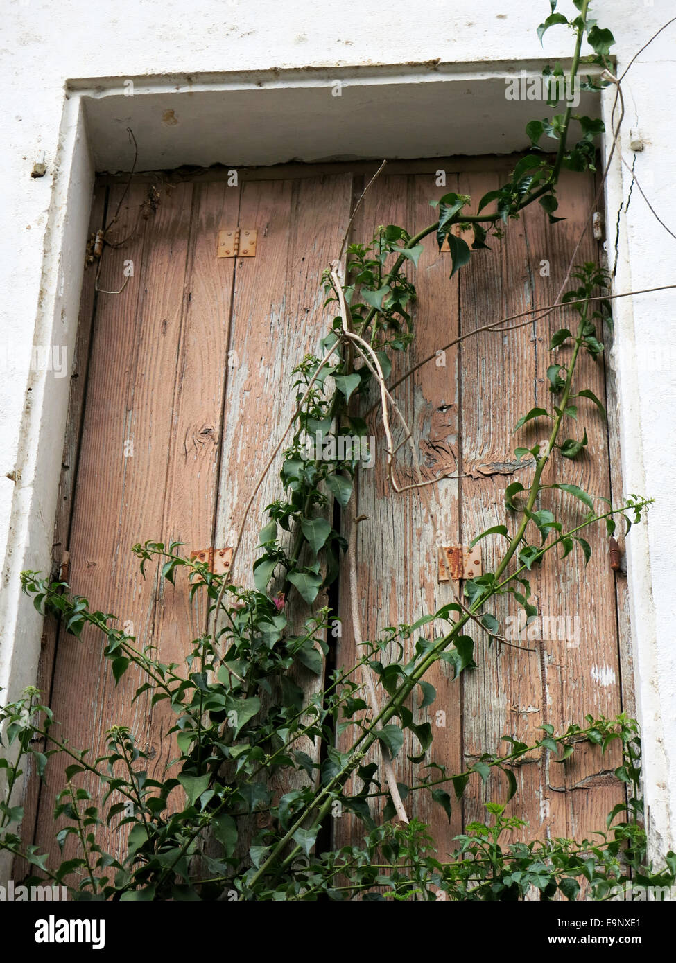 Old weathered window from a country house partly covered with ...