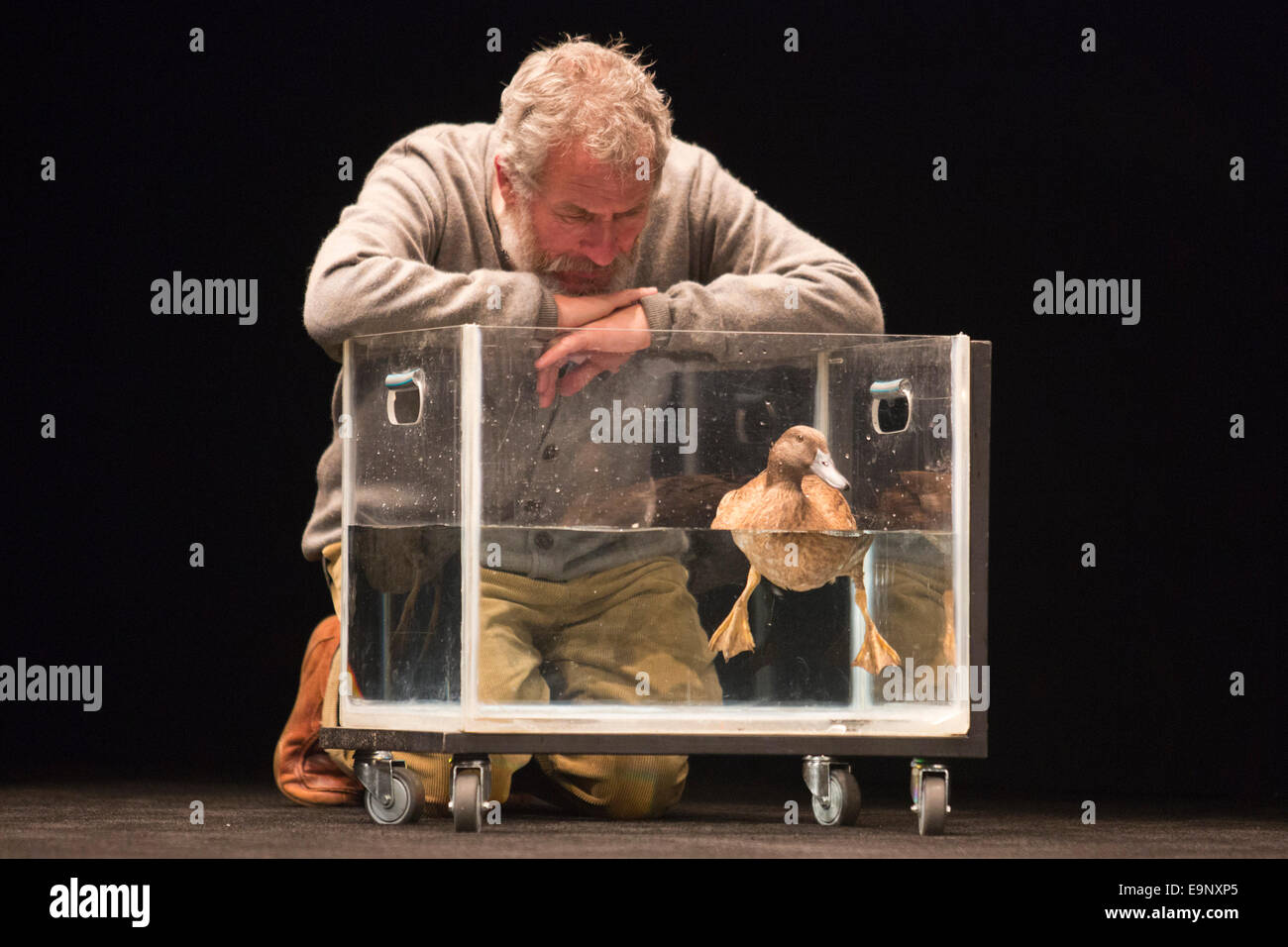 Belvoir Theatre from Sydney, Australia, present "The Wild Duck" at the ...