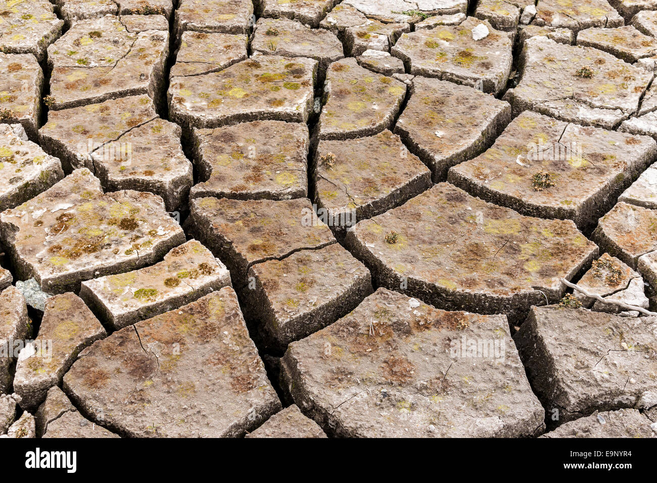 Closeup of dry soil Stock Photo - Alamy