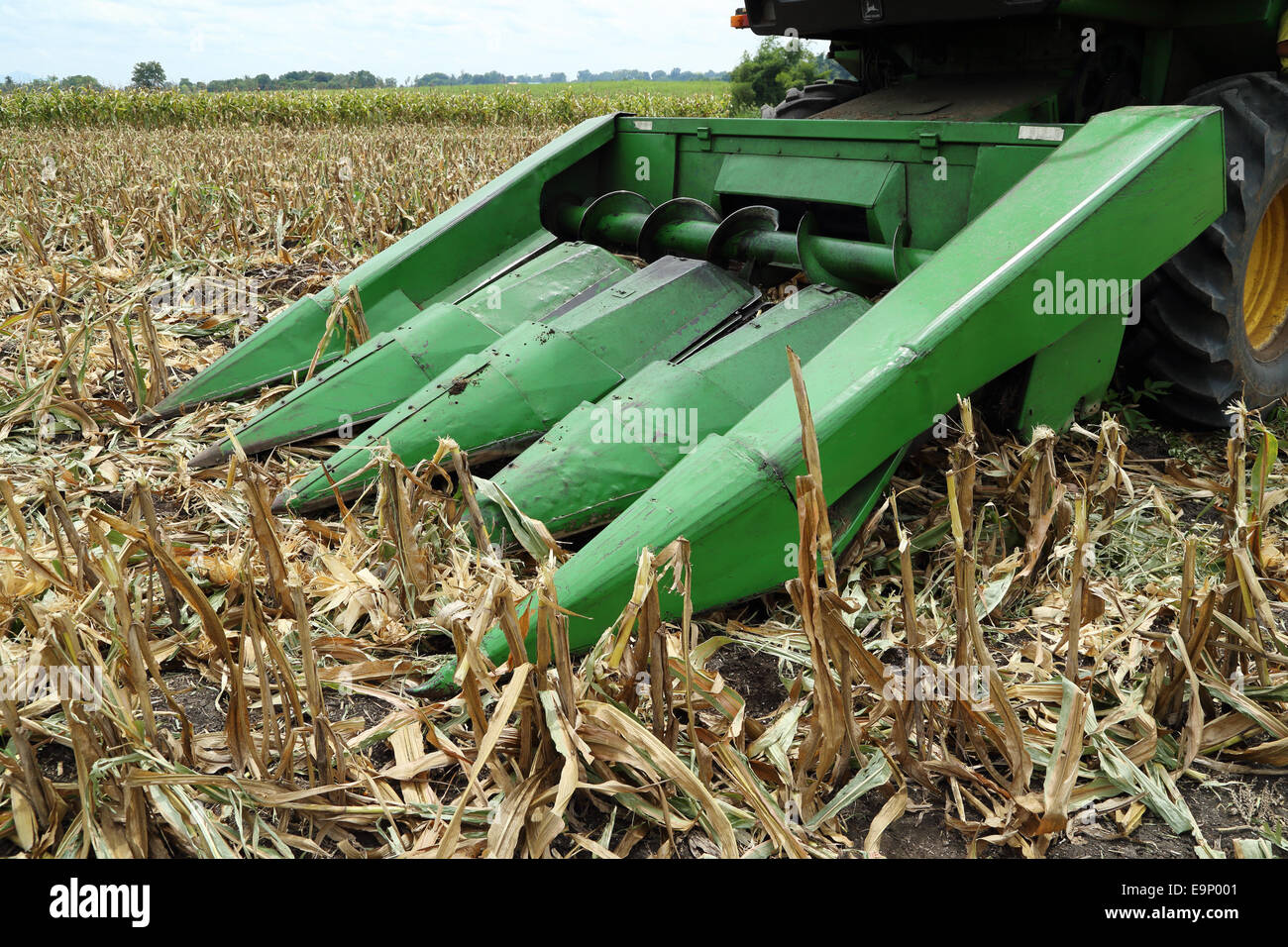Farmer harvesting corn tractor harvester hi-res stock photography and ...