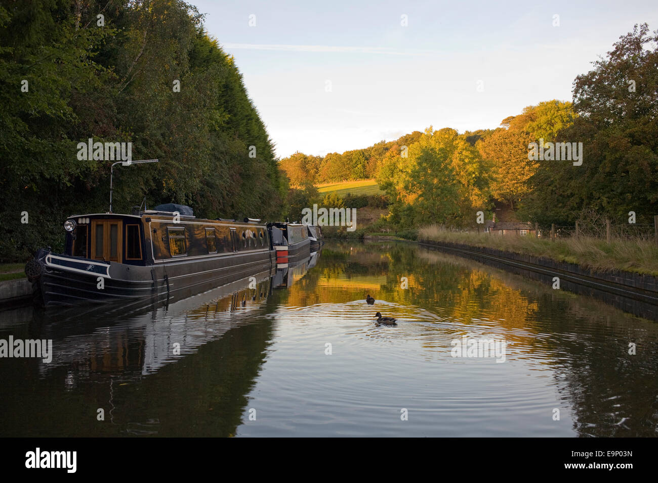The Macclesfield Canal Stock Photo - Alamy