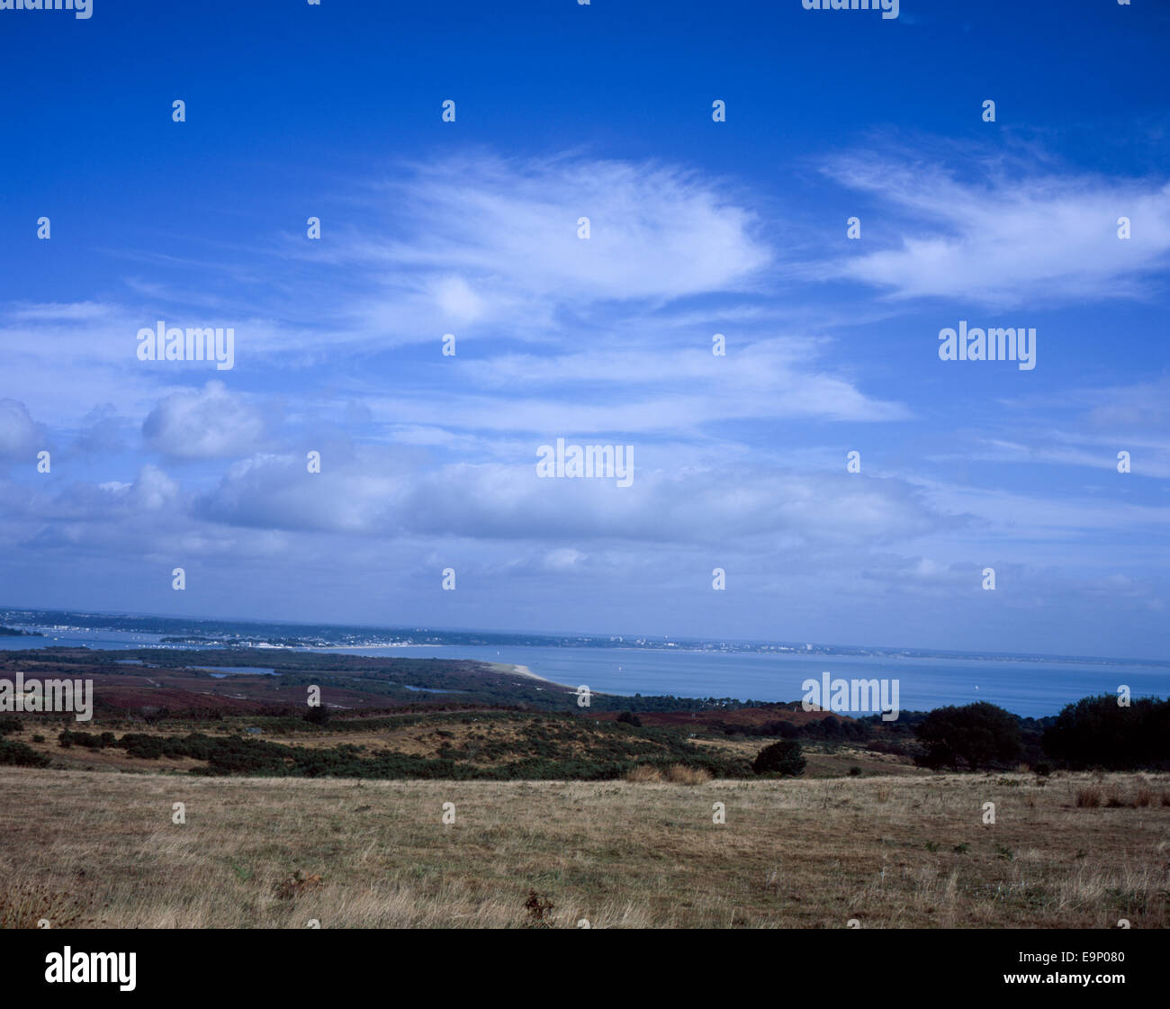 Poole harbour nature reserve hi-res stock photography and images - Alamy
