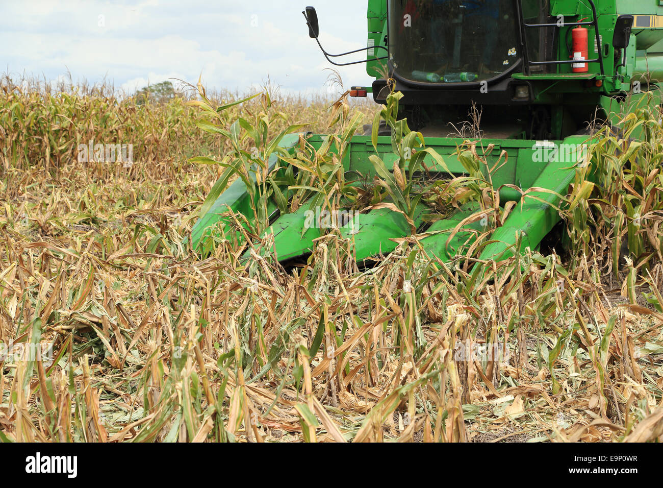 Combines harvesting corn hi-res stock photography and images - Alamy