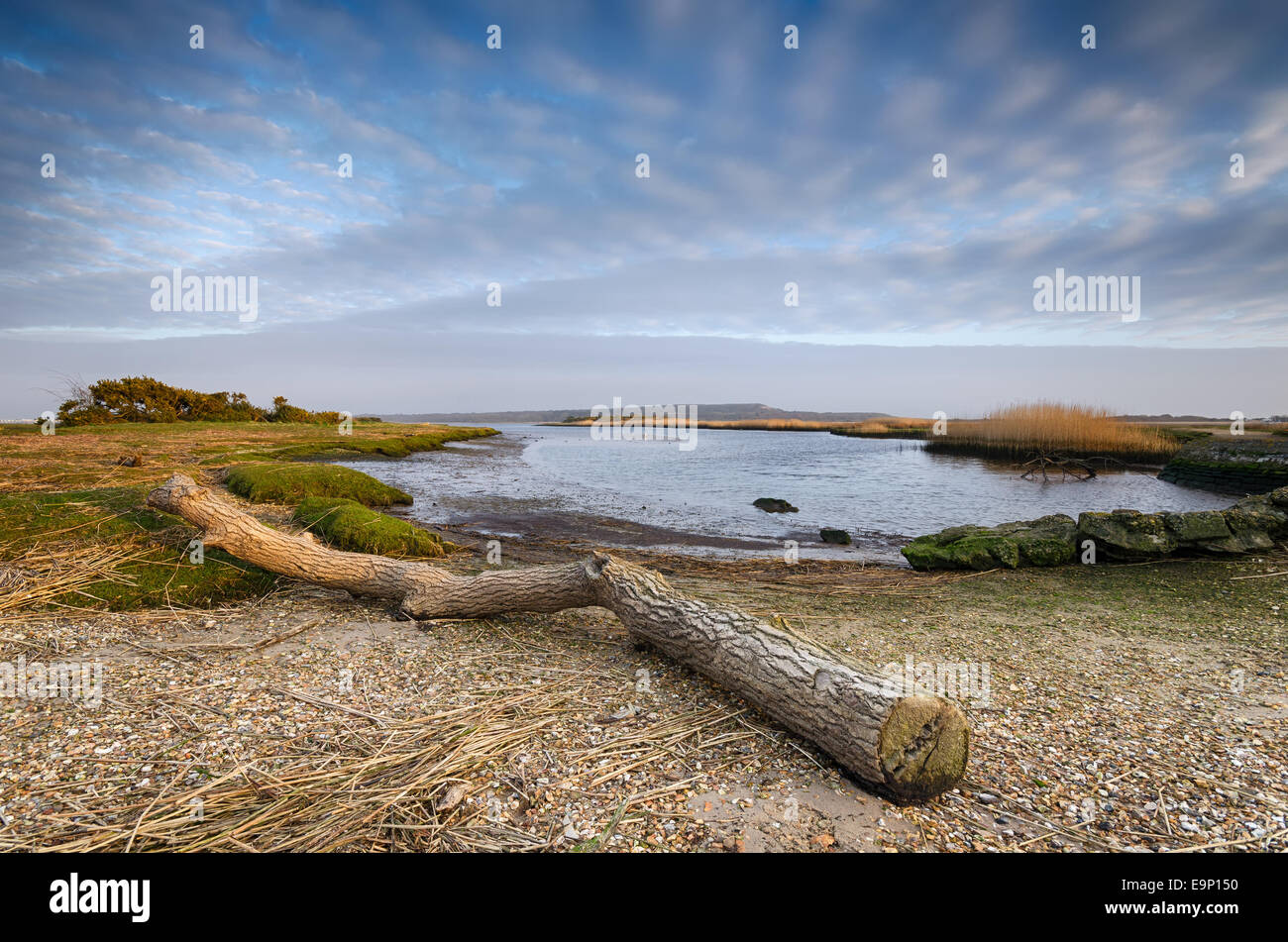 Christchurch bay dorset hi-res stock photography and images - Alamy
