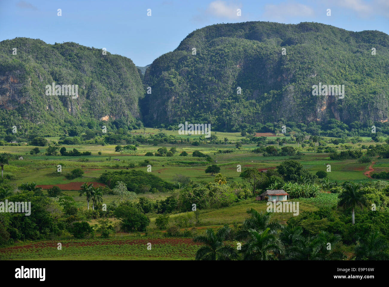 Valley caribbean hi-res stock photography and images - Alamy